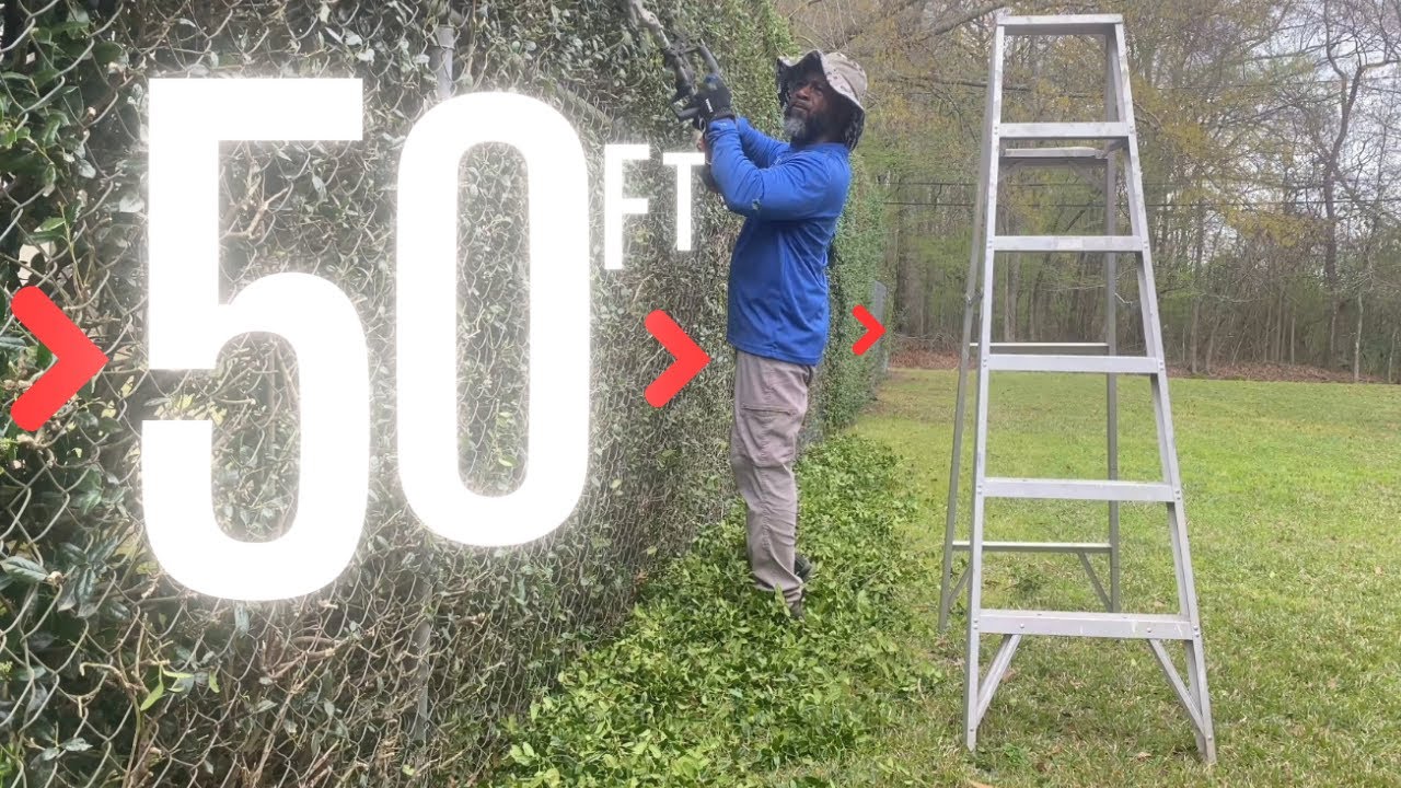 SATISFYING 50FT MONSTER HEDGE TRIM with the ECHO SRM 225 weed eater ...