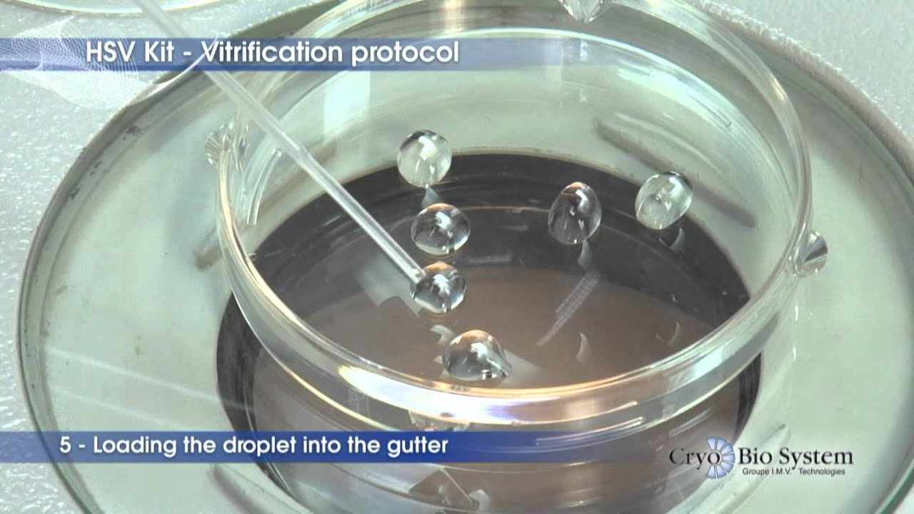 Cryo Bio System HSV Kit for Vitrification - YouTube
