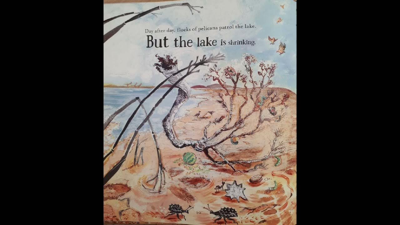 Desert Lake. The story of Kati Thanda-Lake Eyre. by Pamela Freeman ...