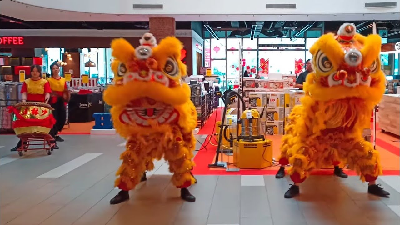 Twin Lion Dance with Female Drummer - YouTube