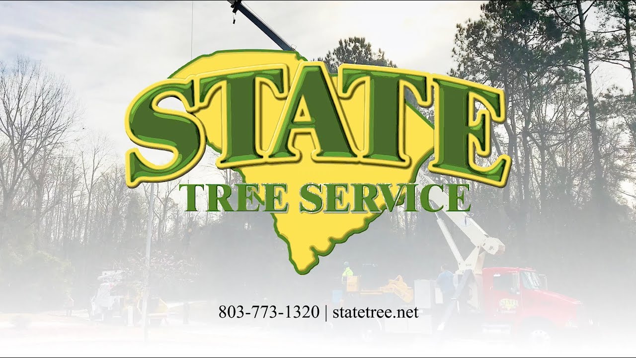 State Tree Service | Sumter, SC - YouTube