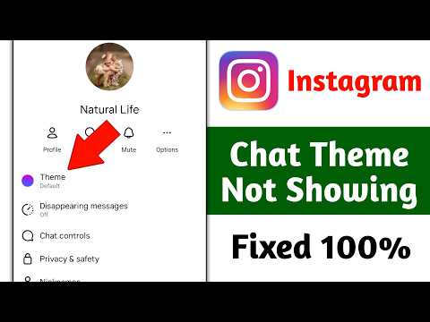 How to Fix Instagram Chat Theme Option Not Showing Problem 2026 | Instagram Chat Theme Missing