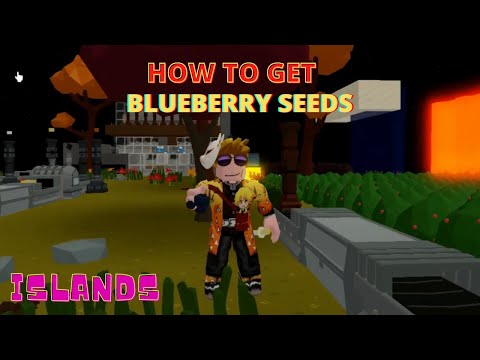Where To Get Blueberry Bushes In Islands Roblox