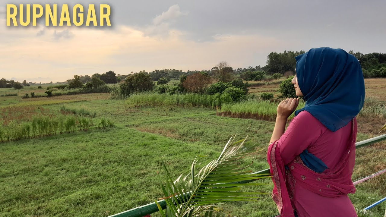 Have a nice evening in Rupnagar || Savar, Dhamrai | Aany Islam🌷 - YouTube