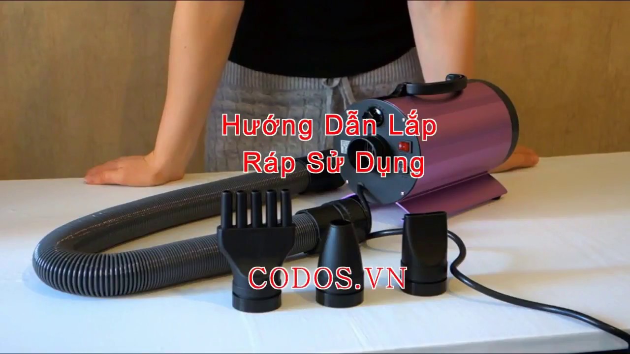 Máy sấy lông chó mèo chuyên dụng Codos CP 160 - YouTube