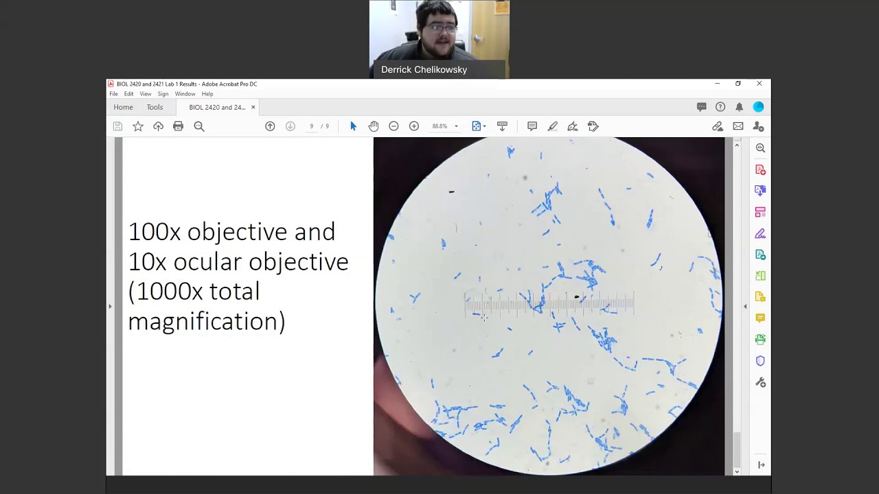 Microscopy Results Analysis - YouTube