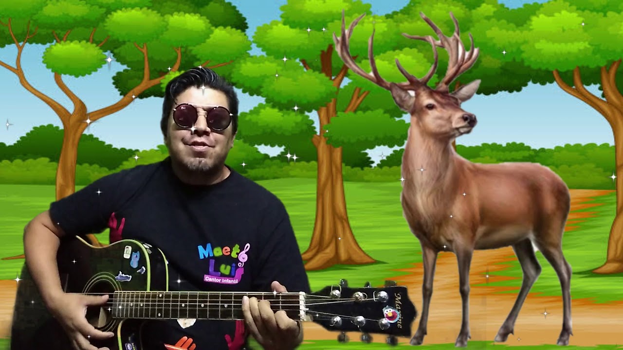 EL OSO CARPINTERO - YouTube