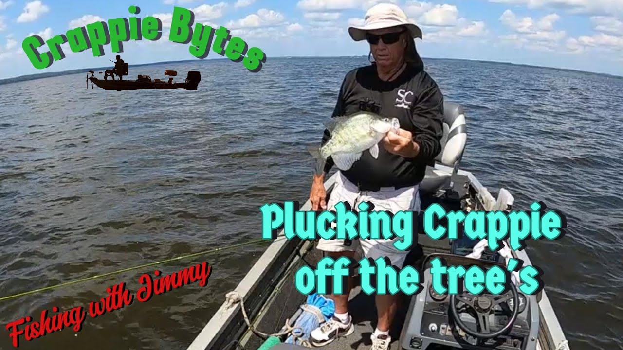 Plucking Crappie off the tree's With Livescope footage. #crappie, # ...