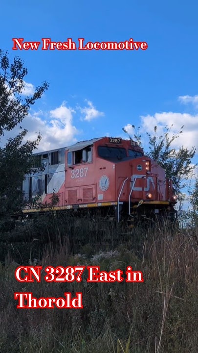 CN 3287 at an Open Field in Thorold With a Fresh Locomotive. - YouTube