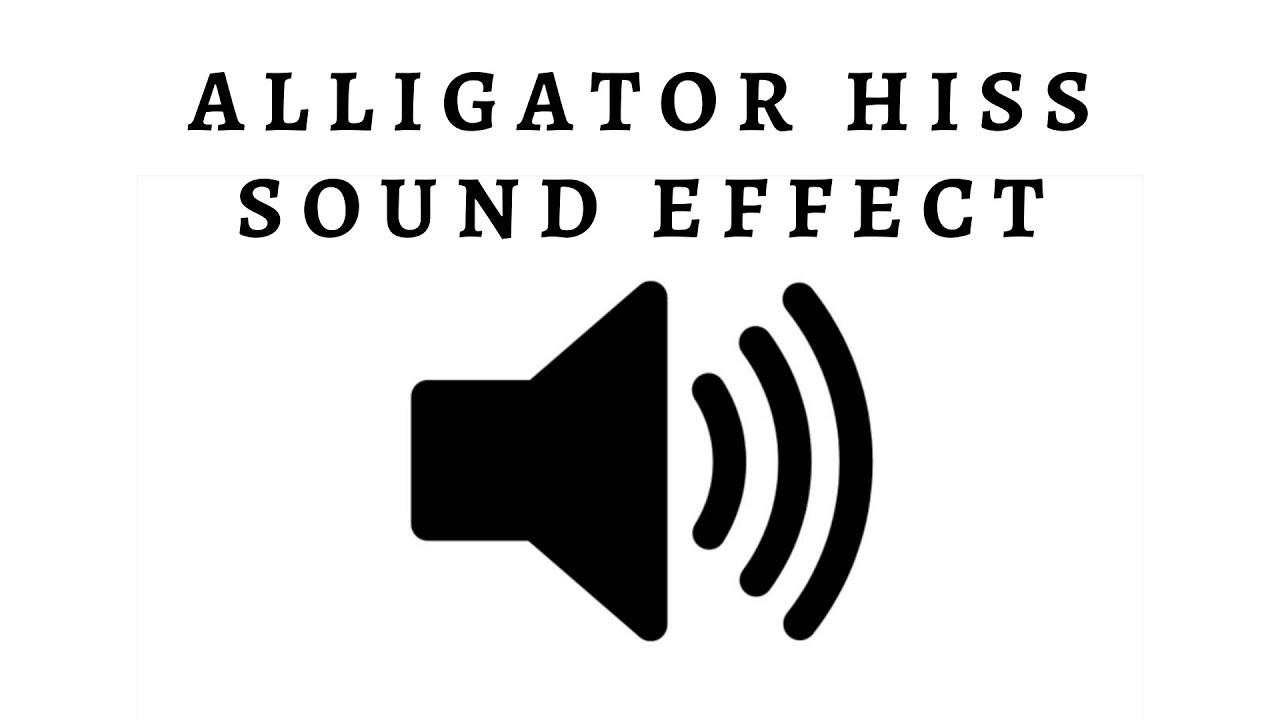 Alligator Hissing Sound Effect - YouTube