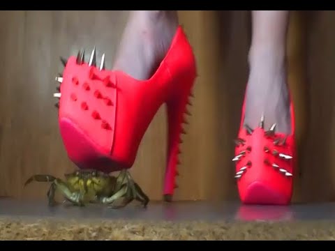 N27 Bug Crush Teaser - Stiletto Heels and Crubs