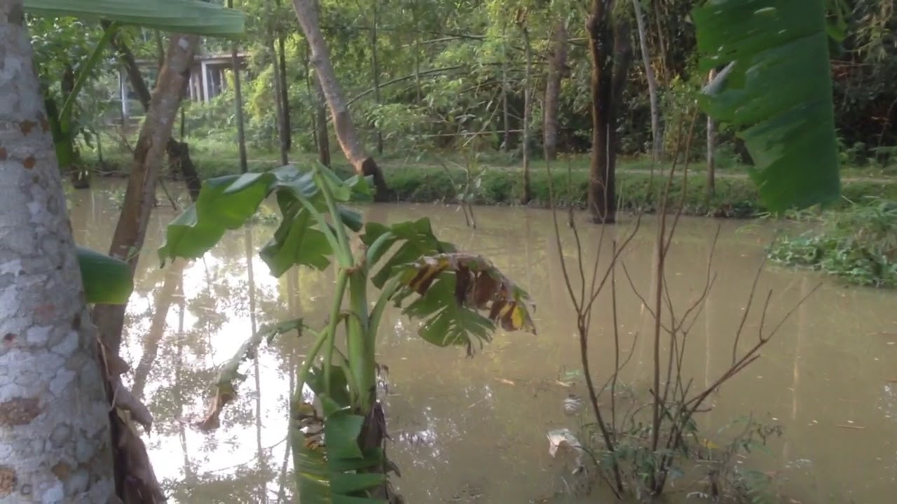 our Village Beanibazar Sylhet | Beanibazar | Bangladesh - YouTube