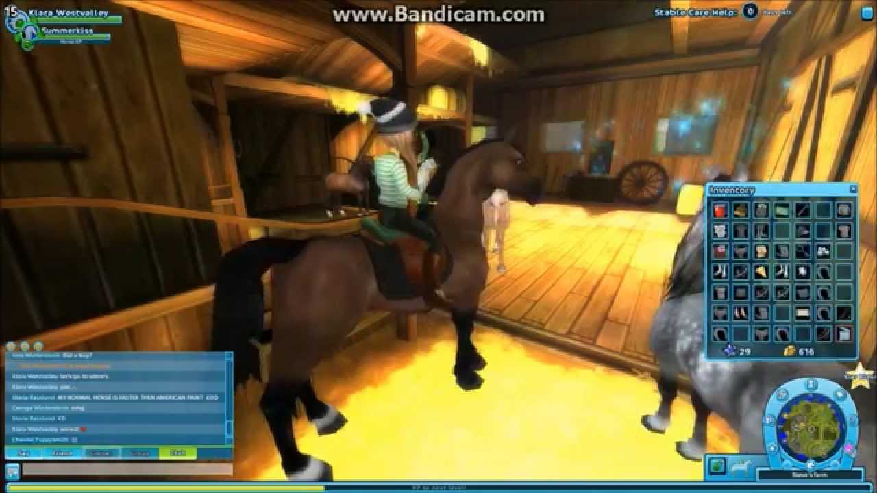 SSO - Buying my andalusian horse (SummerKiss) - YouTube