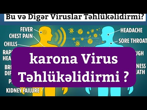 Korona virus tehlukeli virusdur? Genis izah 2020 - corona virus ne derecede tehlukelidir? 2020