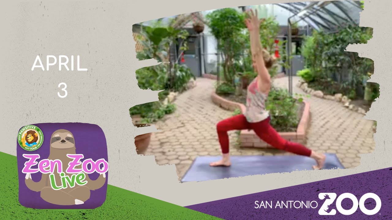 Zen Zoo - April 3 - YouTube