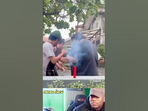 Meme lucu main petasan#mainpetasan #memelucuindonesia - YouTube