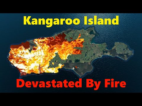 Kangaroo Island Devastated by Fire - YouTube