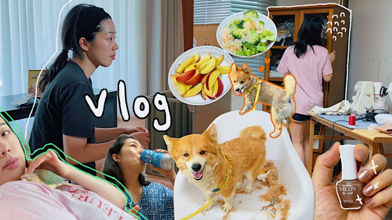 🌱292 Vlog I 알차게 보낸 일주일 브이로그 I 토루 미용 I 마켓비 철제서랍 I 페디와 네일 I 괴수8호 시작 I 집밥