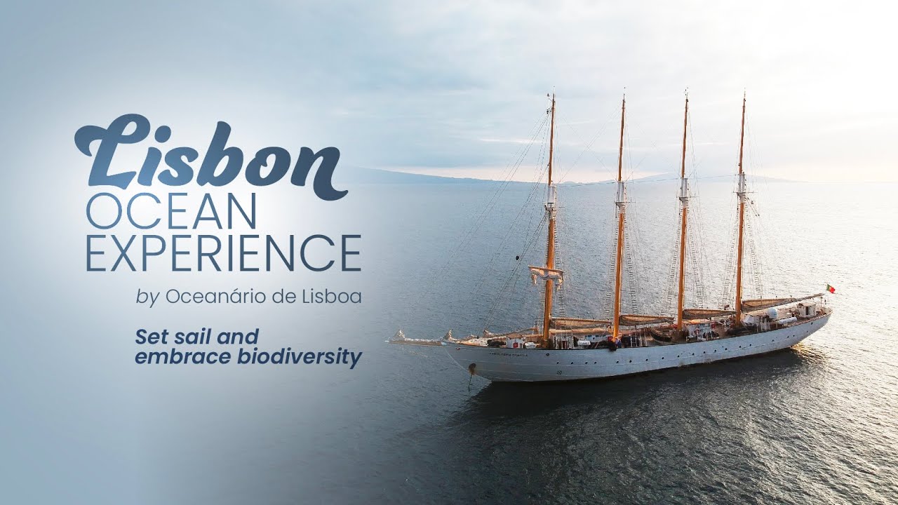Lisbon Ocean Experience | Set sail and embrace biodiversity! - YouTube