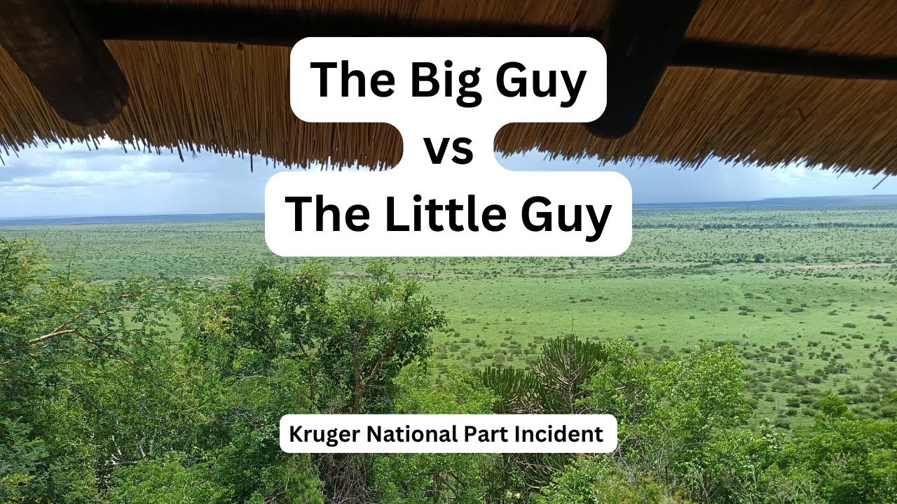 Big guy vs the little guy: Elephant scare in the Kruger National Park ...