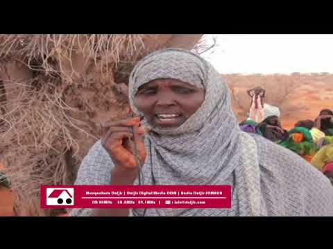 In kabadan 700 Qoys oo kunool  duleedka Cabudwaaq oo fariin diray