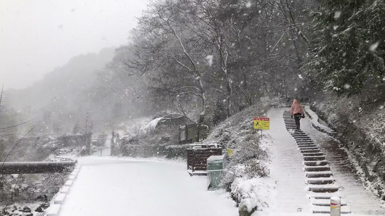 Snow falling in Mudeungsan National Park, Gwangju, South Korea ...