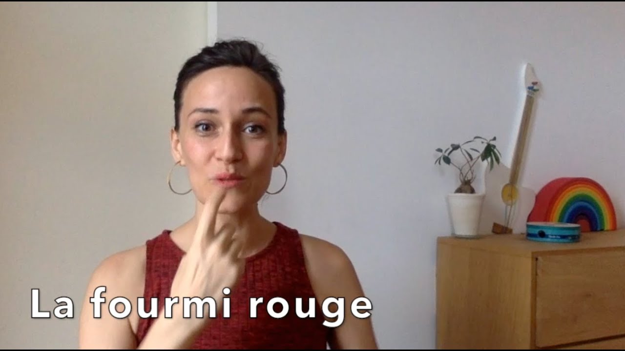 La fourmi rouge - YouTube