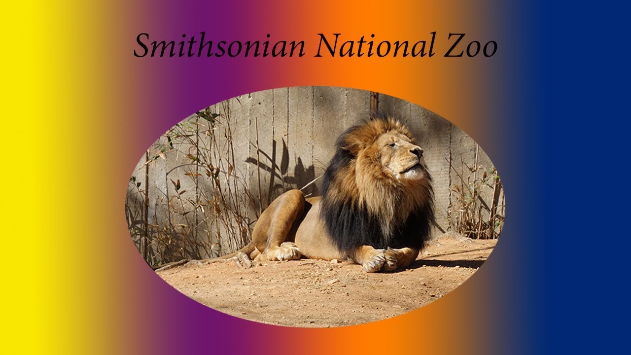 Smithsonian National Zoo Logo