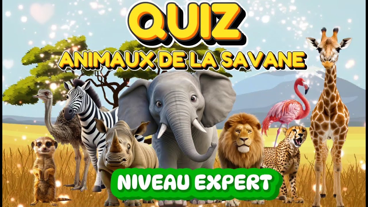 QUIZ ANIMAUX DE LA SAVANE | Niveau Expert | LUDOKIDS - YouTube