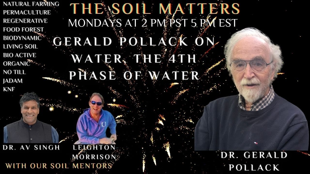 Gerald Pollack On Water The 4th Phase Of Water - YouTube