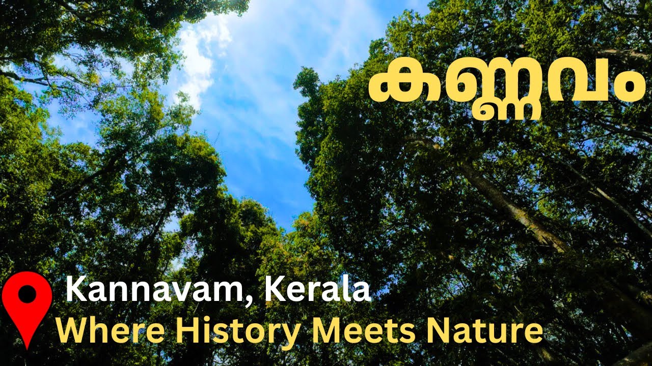 Kannavam Forest | Where History Meets Nature | Nature walk in Kerala's ...