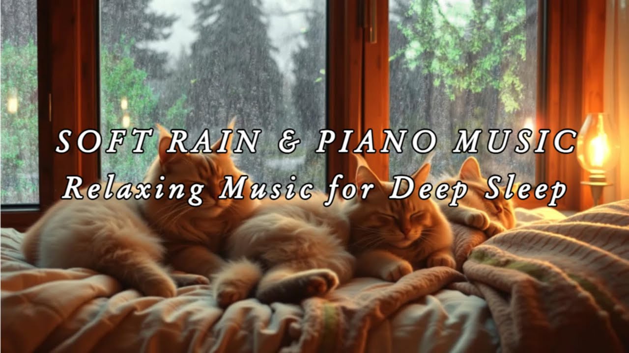 ☔ ASMR sleep relaxation Sleep: Rain Rhythms That Bring Dreams 🌙 - YouTube