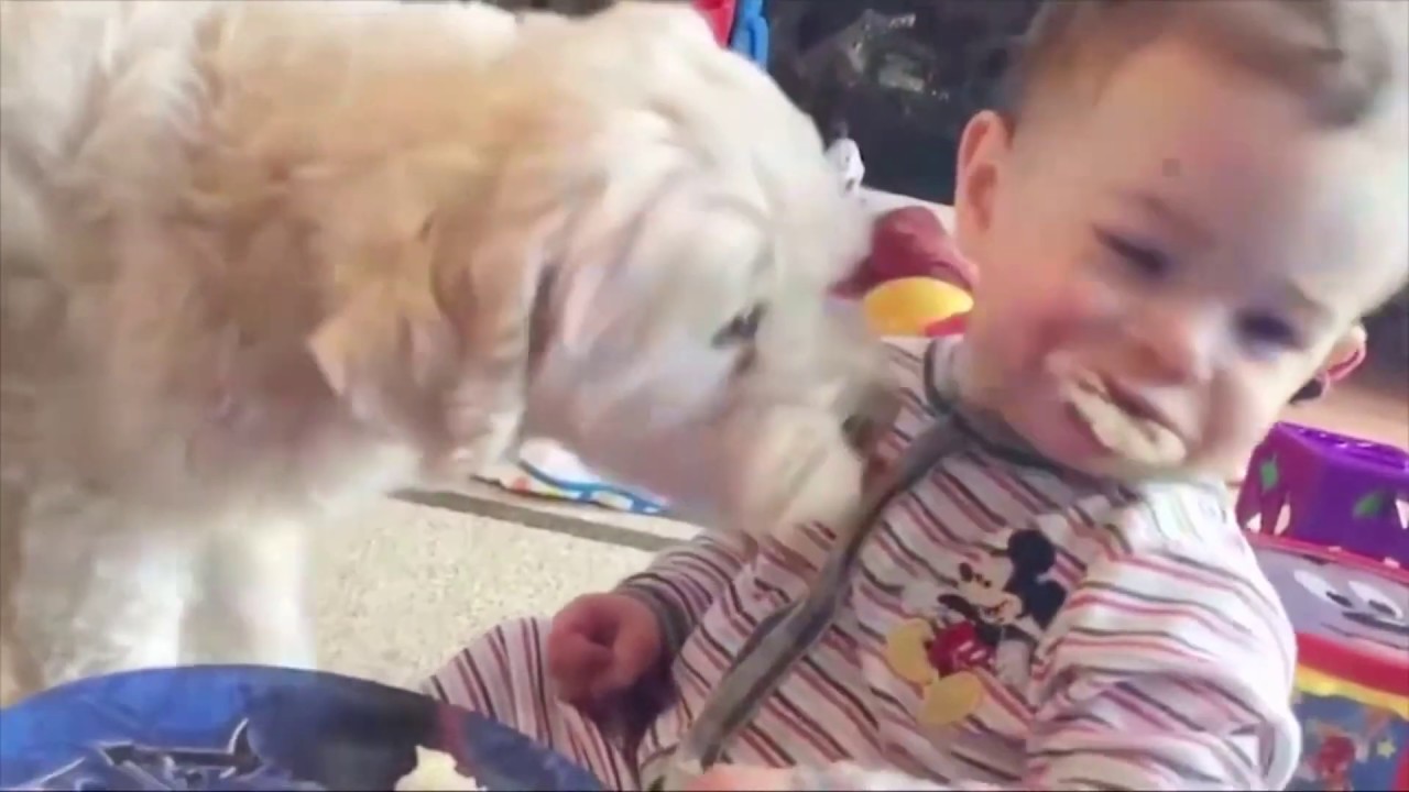 Adorable Babies Playing With Dogs - YouTube