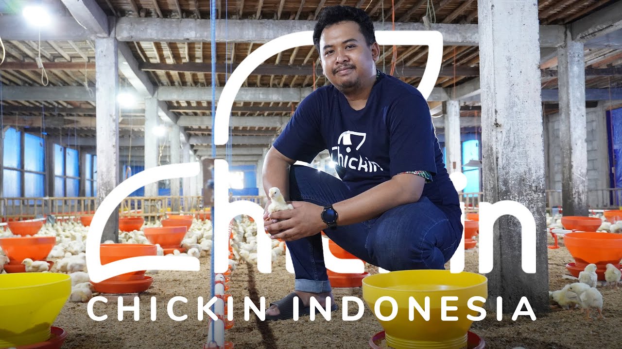 Chickin Indonesia: Transforming Chicken Farming in Indonesia with ...