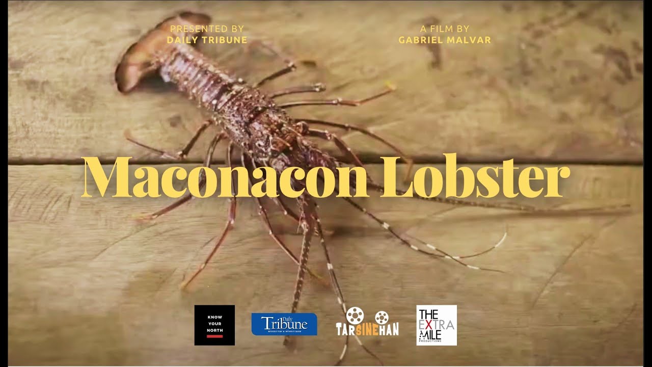 Maconacon Lobster | Tarsinehan X Know Your North - YouTube
