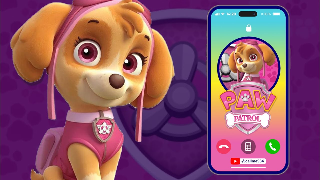 Call With Skye 🐶🐩 Paw Patrol She Calls You To Be Your Best Friend Youtube