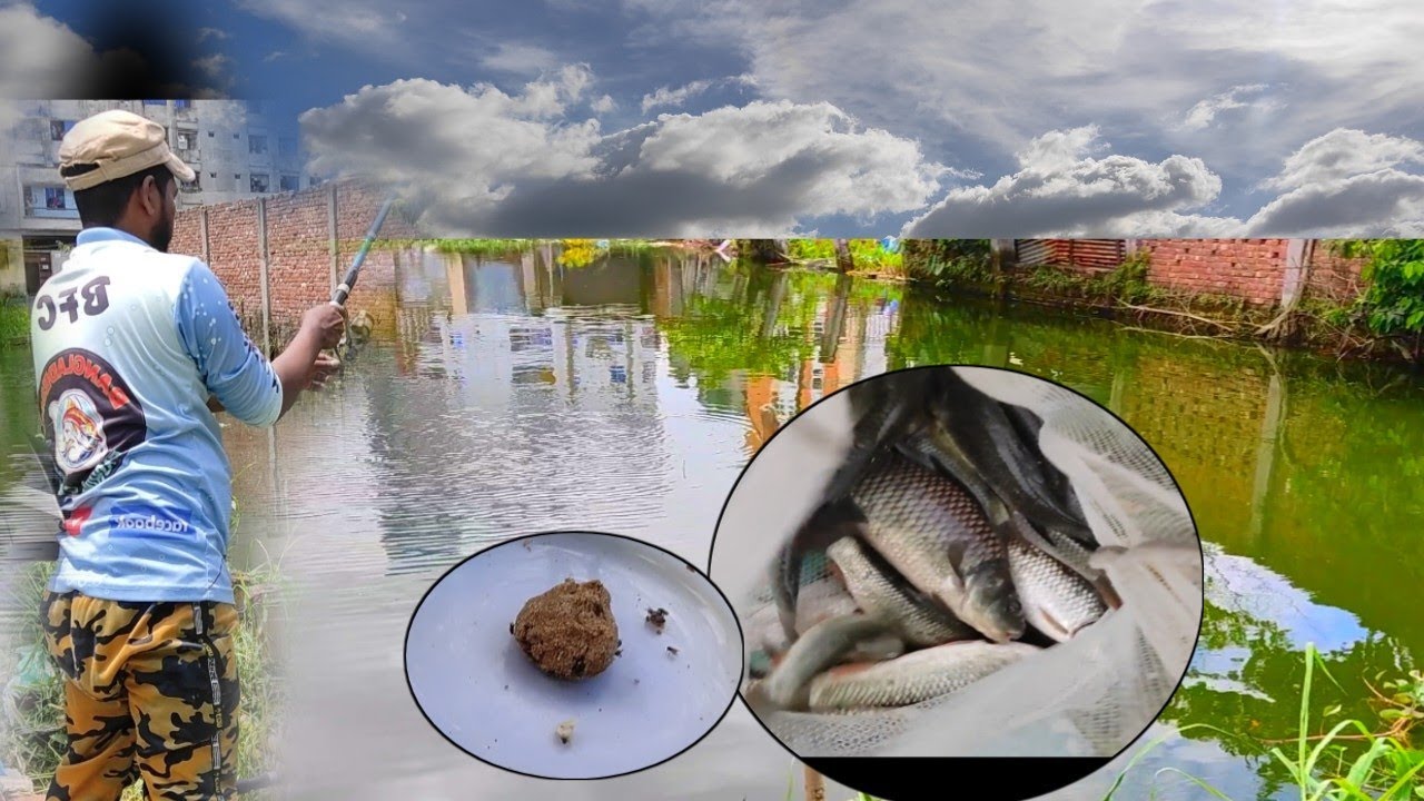 মাতুয়াইলে ৫০০ টাকায় টিকিটে মাছ শিকার||pond fishing||hook fishing|# ...