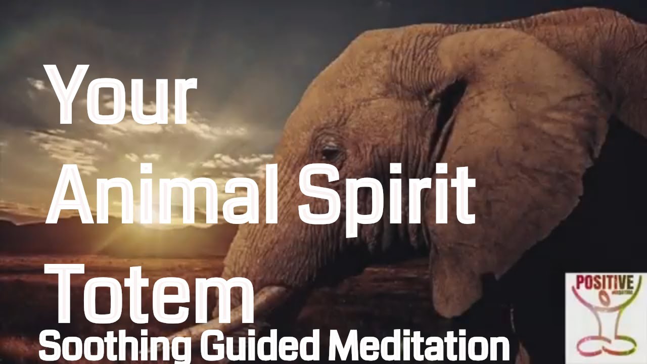 Meditation 10 Minutes Soul Searching Animal Spirit Totem Healing Guide ...