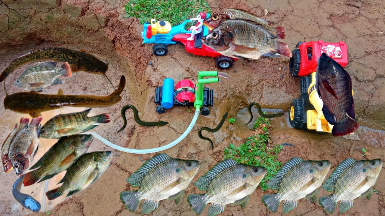 Catch fish using mini water pump | fishing exciting | diy tractor ...