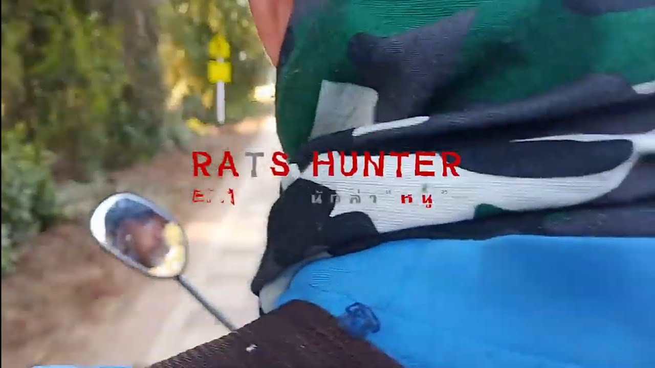 ล่าหนูนา :THAI FOLKWAYS / Ep.1 RATS HUNTER - YouTube