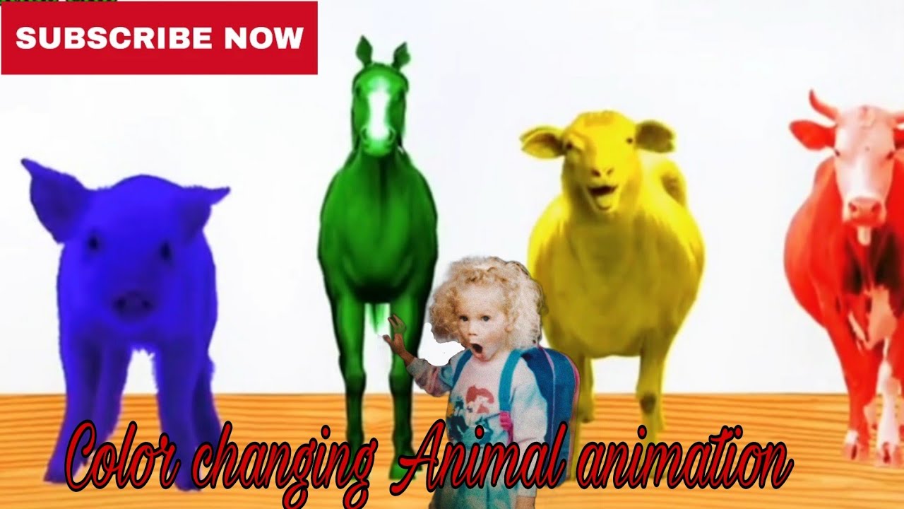 Color Animal Video Kid Leaurn Color Animation Video beautiful colors ...