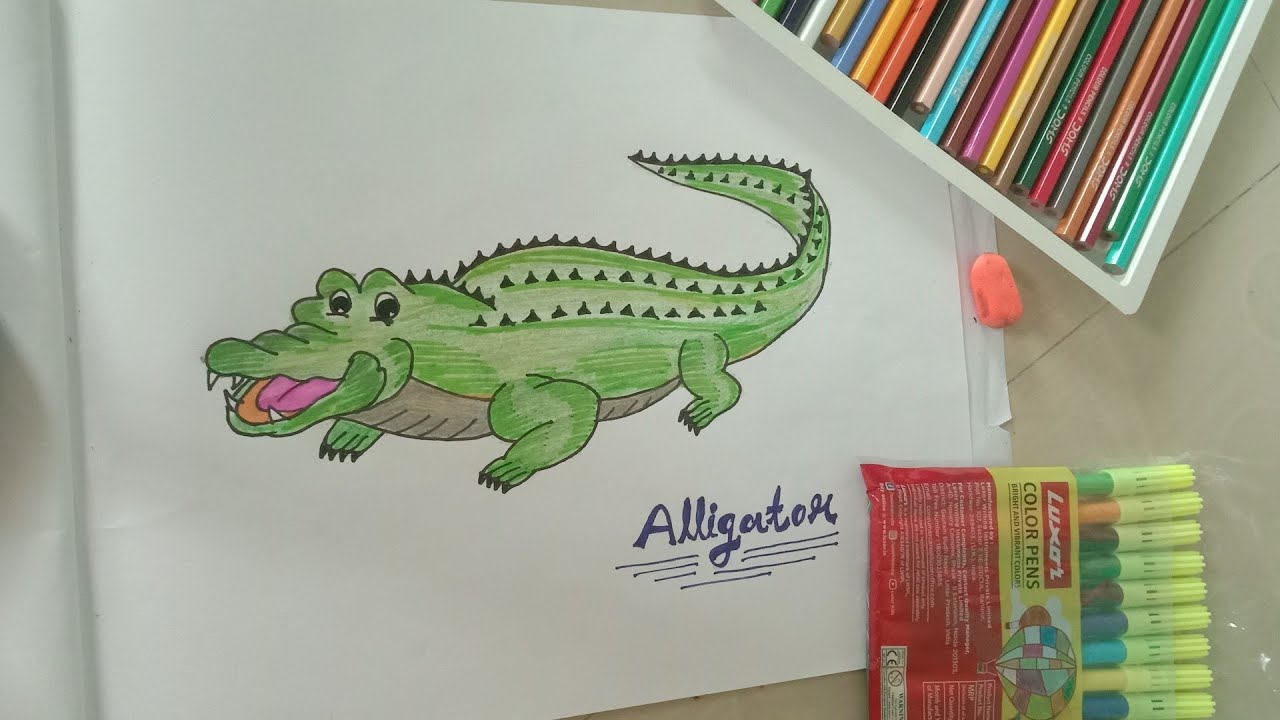 Easy Alligator 🐊 🐊 Drawing Tutorial..How to Draw An Alligator.. - YouTube