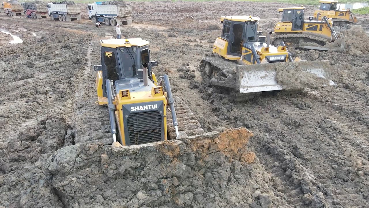 Incredible ! Bulldozers pushing wetland operation with expertly ...