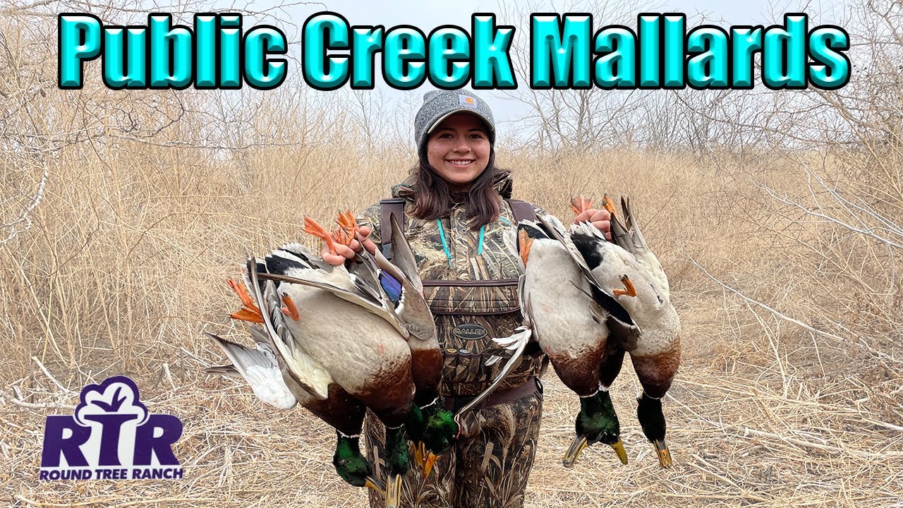 Late Season Public Land Mallards - Kansas Duck Hunting 2021 - YouTube