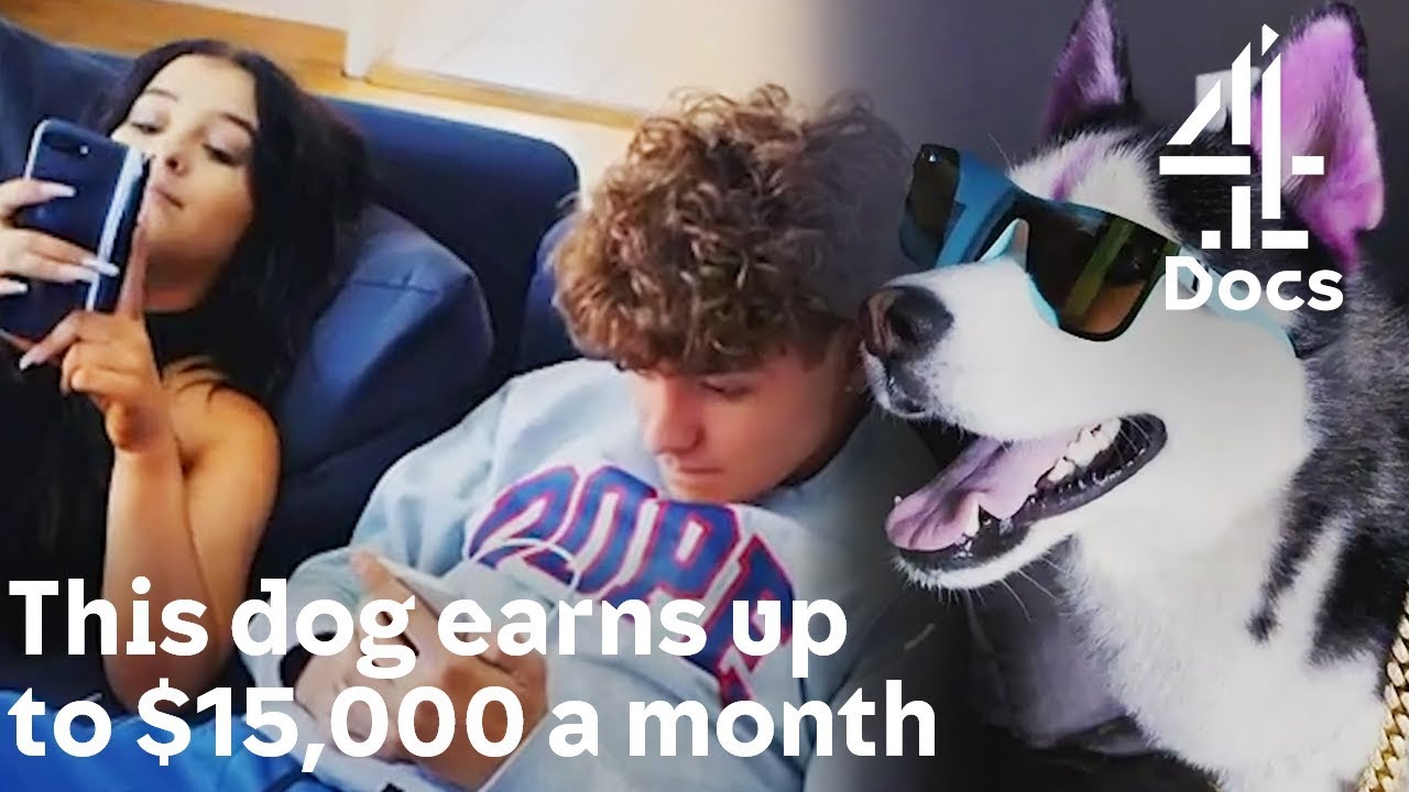Instagram-Famous Dog Earns $15,000 a Month - Jamali Maddix meets Swaggy ...