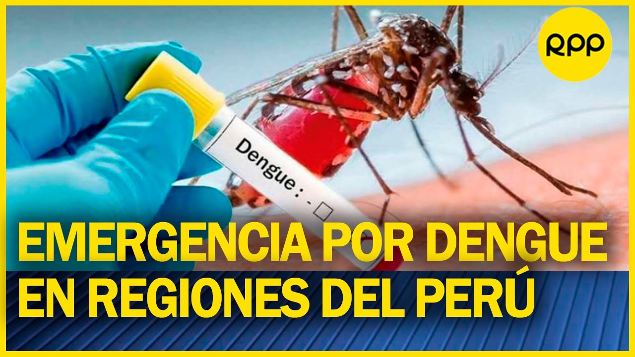 Dengue en el Perú: Regiones en alerta por incremento de contagios y ...