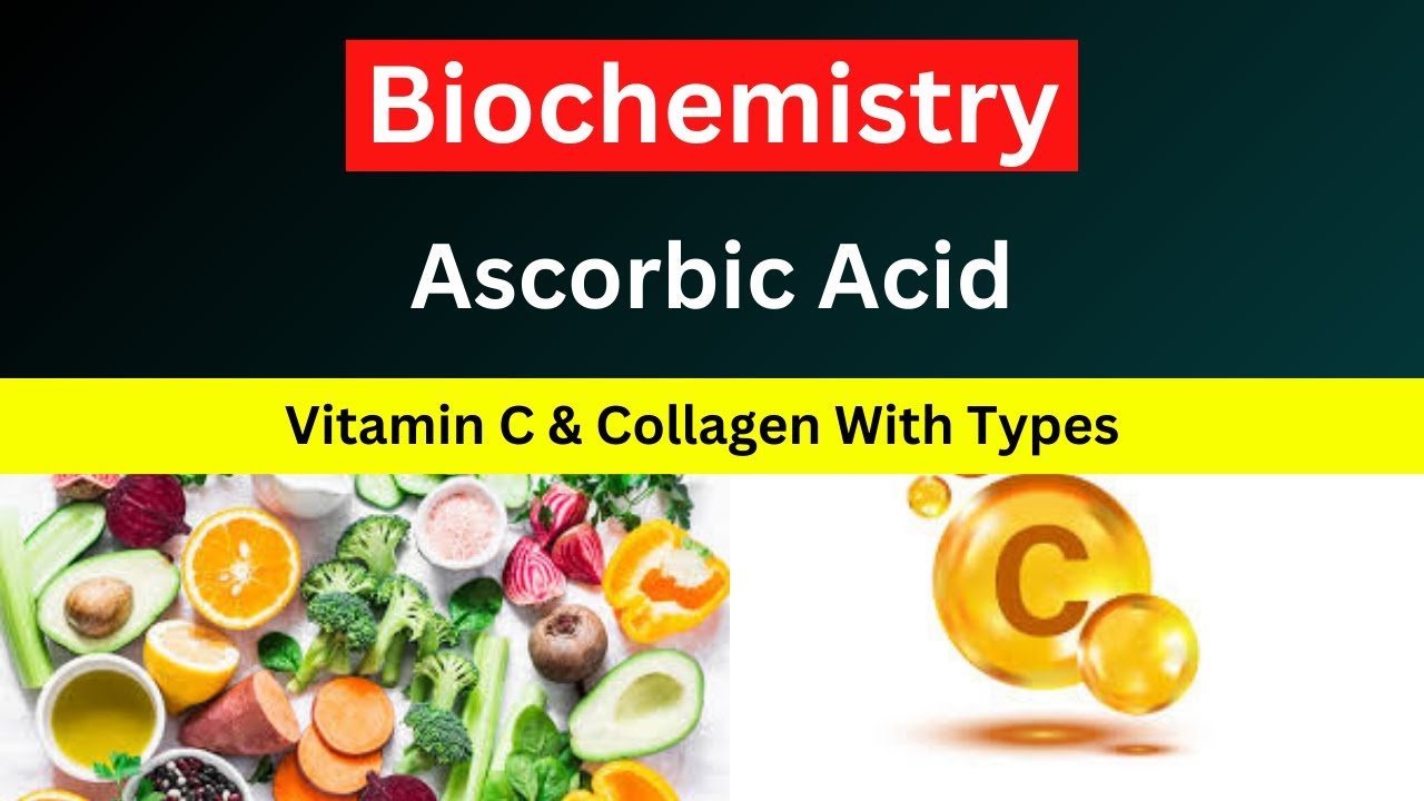 Biochemistry: Ascorbic Acid: Vitamin C & Collagen With Types - YouTube