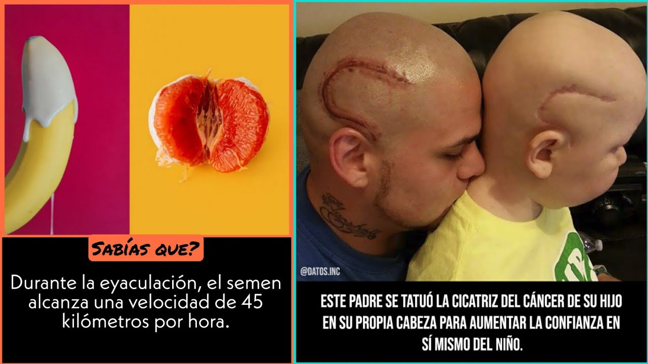 Datos Increíbles 😱 #65 Datos Random | Sabías Que | Datos Del mundo ...