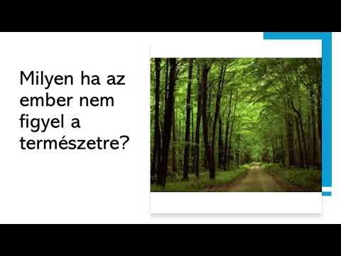 Milyen ha az ember nem figyel a természetre? - YouTube