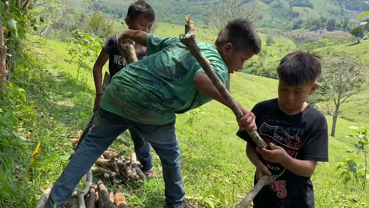 Un día en el campo, Leñando. - YouTube